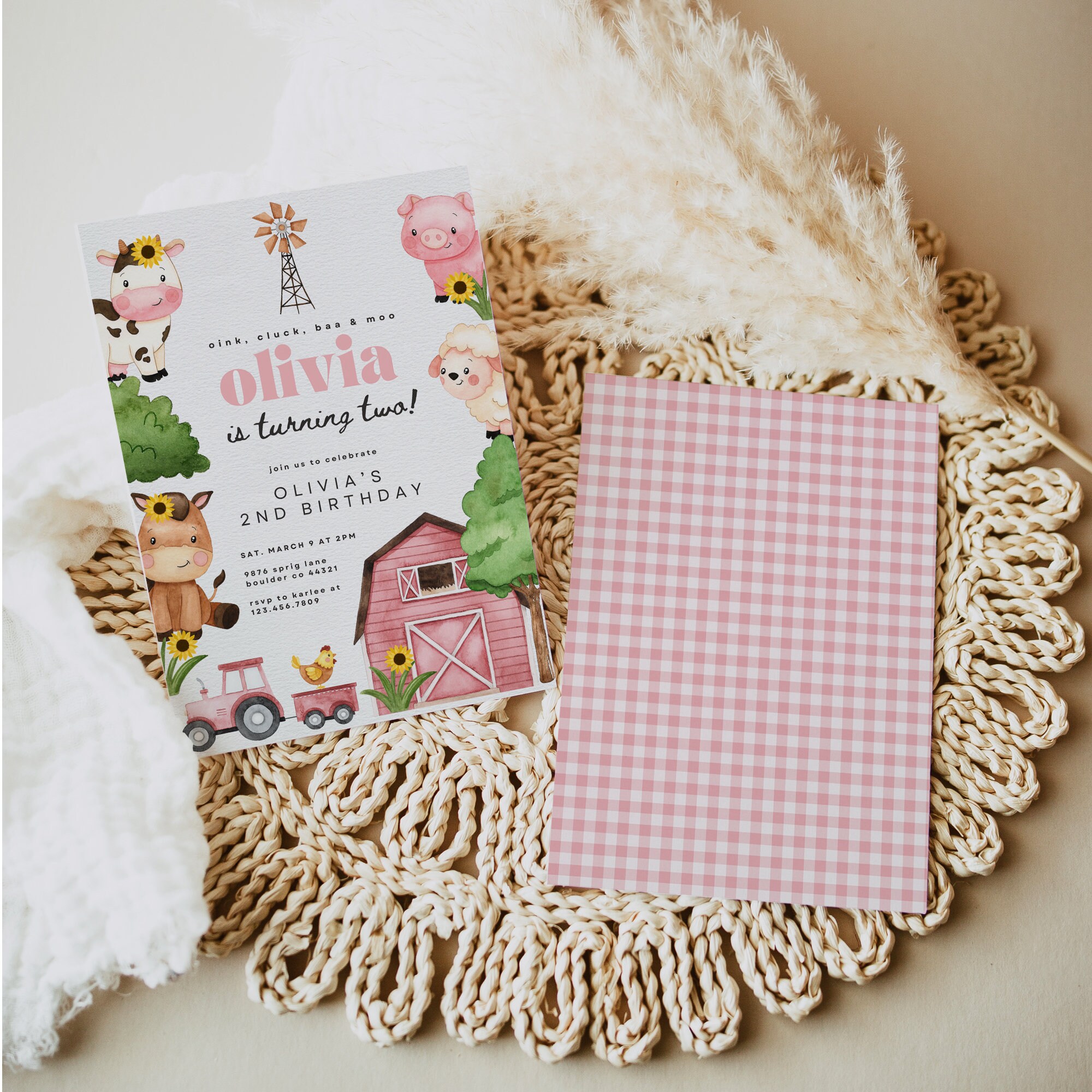 Farm Birthday Photo Milestone Girl Birthday Photo Stats Sign Barn ...