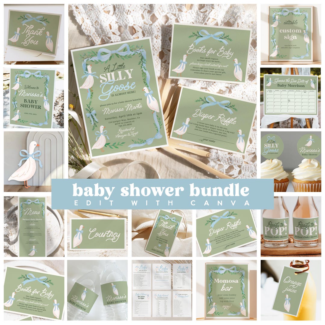 Boy Silly Goose Baby Shower Invitation, Bunnies and Geese Baby Shower ...