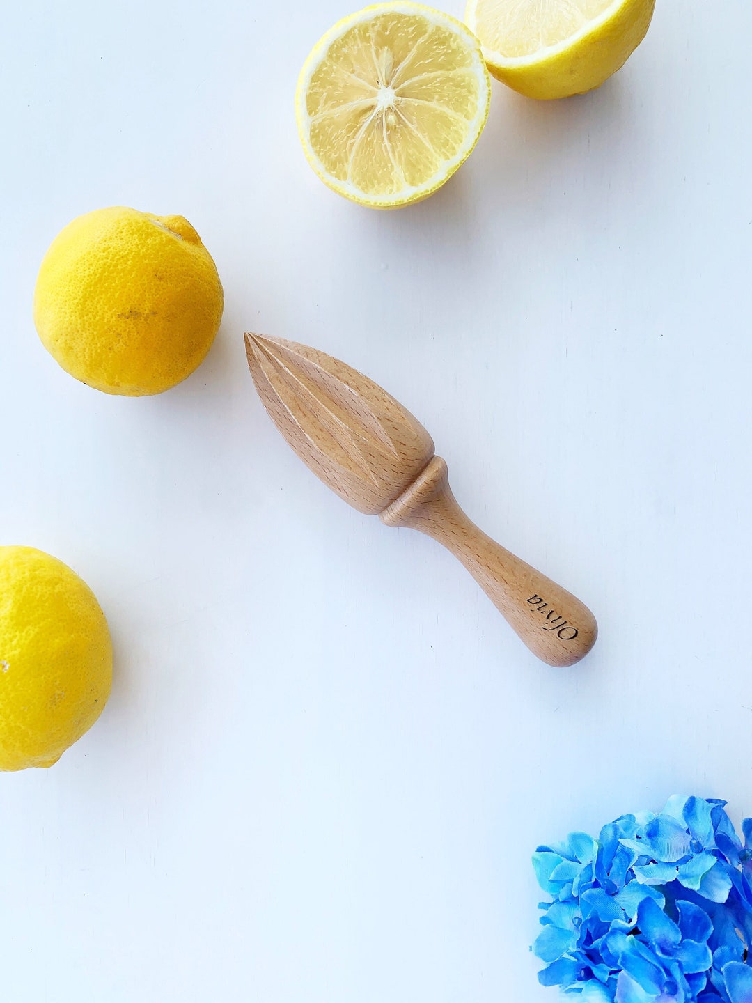 Wooden Lemon Squeezer, Montessori Educational Toys for Kids ...