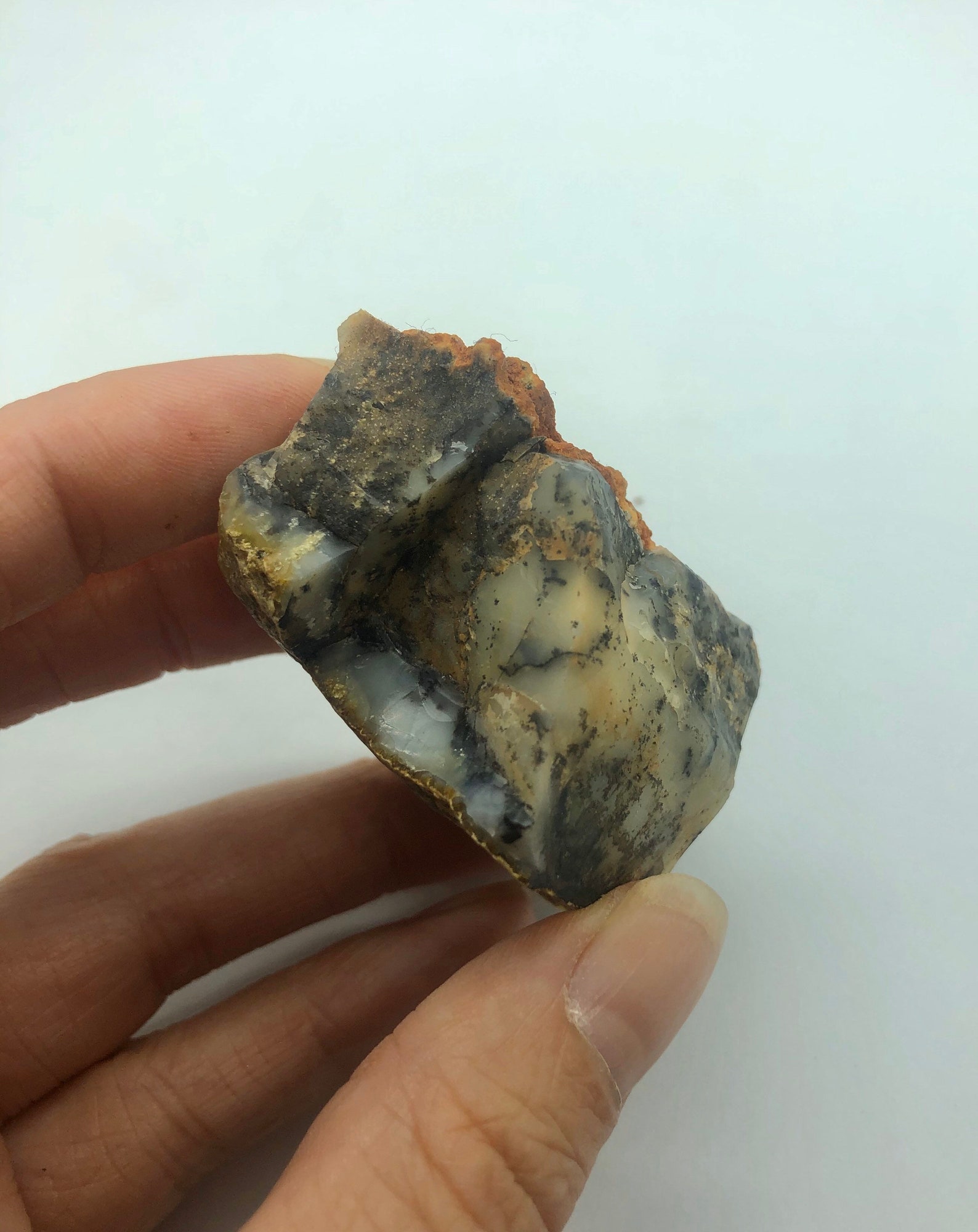 Dendritic Opal From California 2.1oz rough Common Opal | Etsy