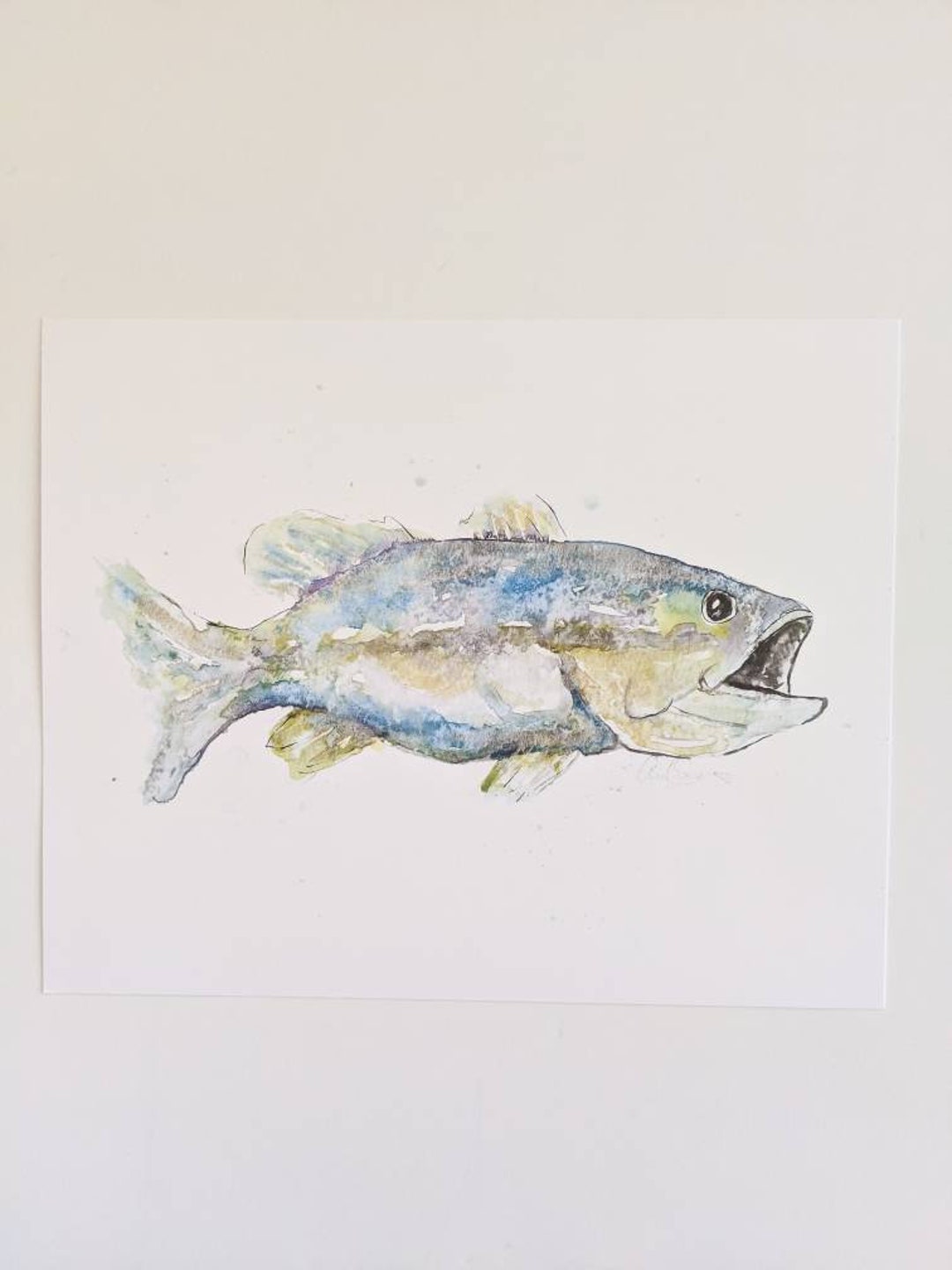 Fish PRINT Bass Blues Greens Lake Coastal 8x10 Gift Home Decor Wall Art ...