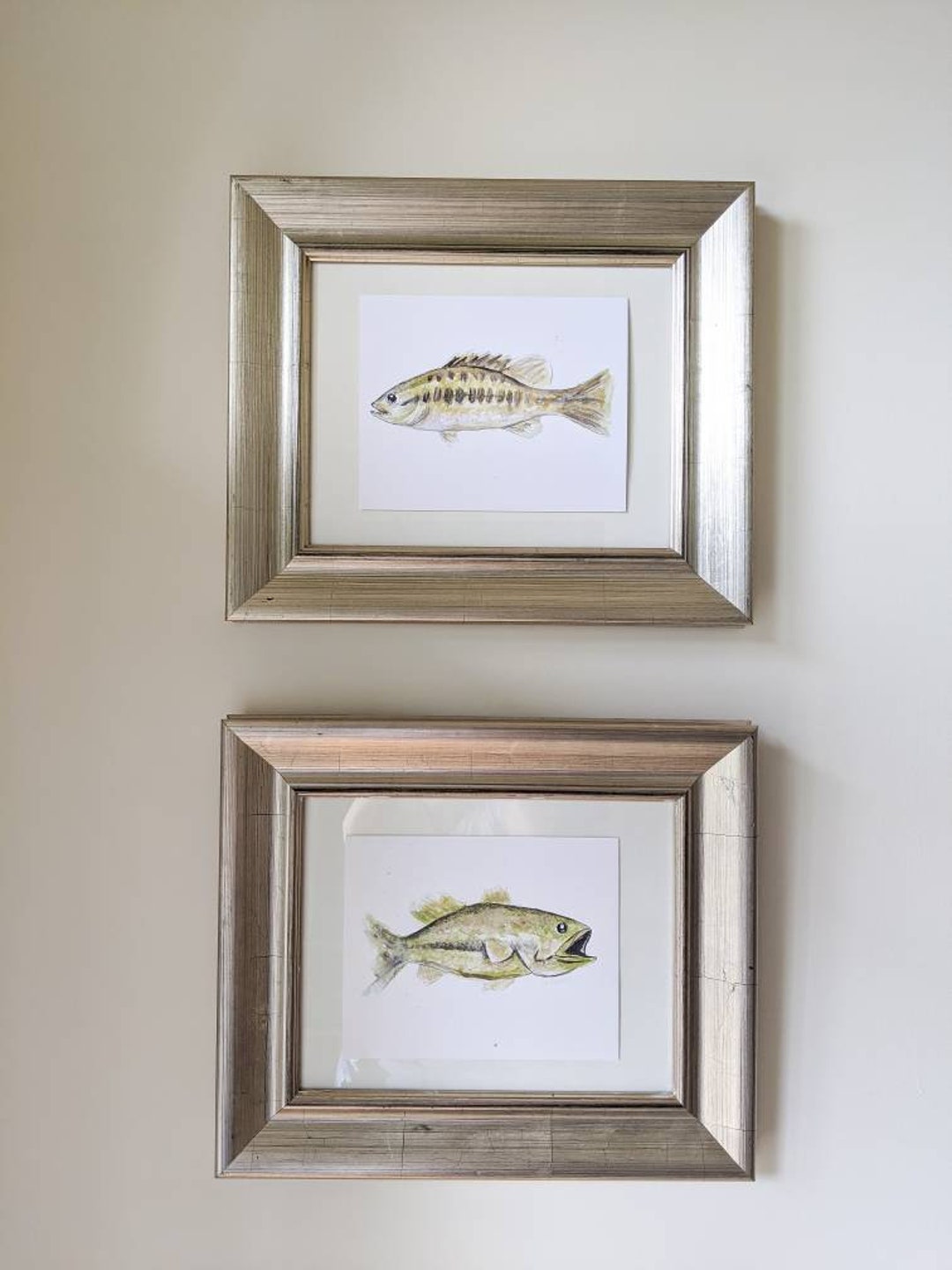 Fish Print BUNDLE Green Bass 2 Prints 8x10 - Etsy