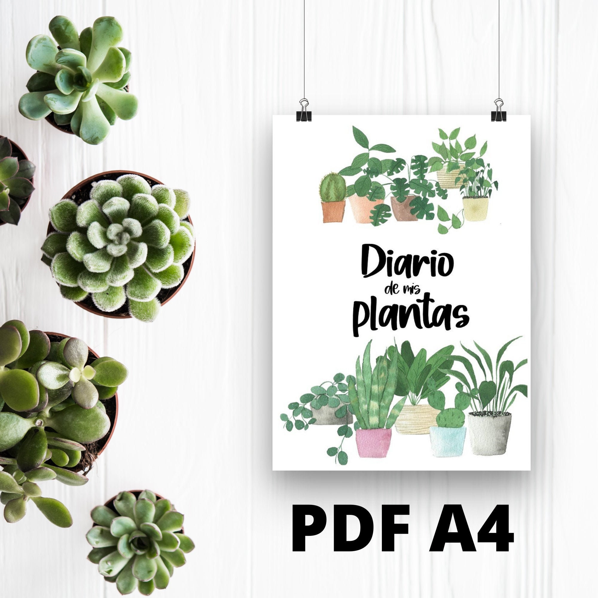 Diary of My Plants / A4 / Instant Download / PDF - Etsy UK