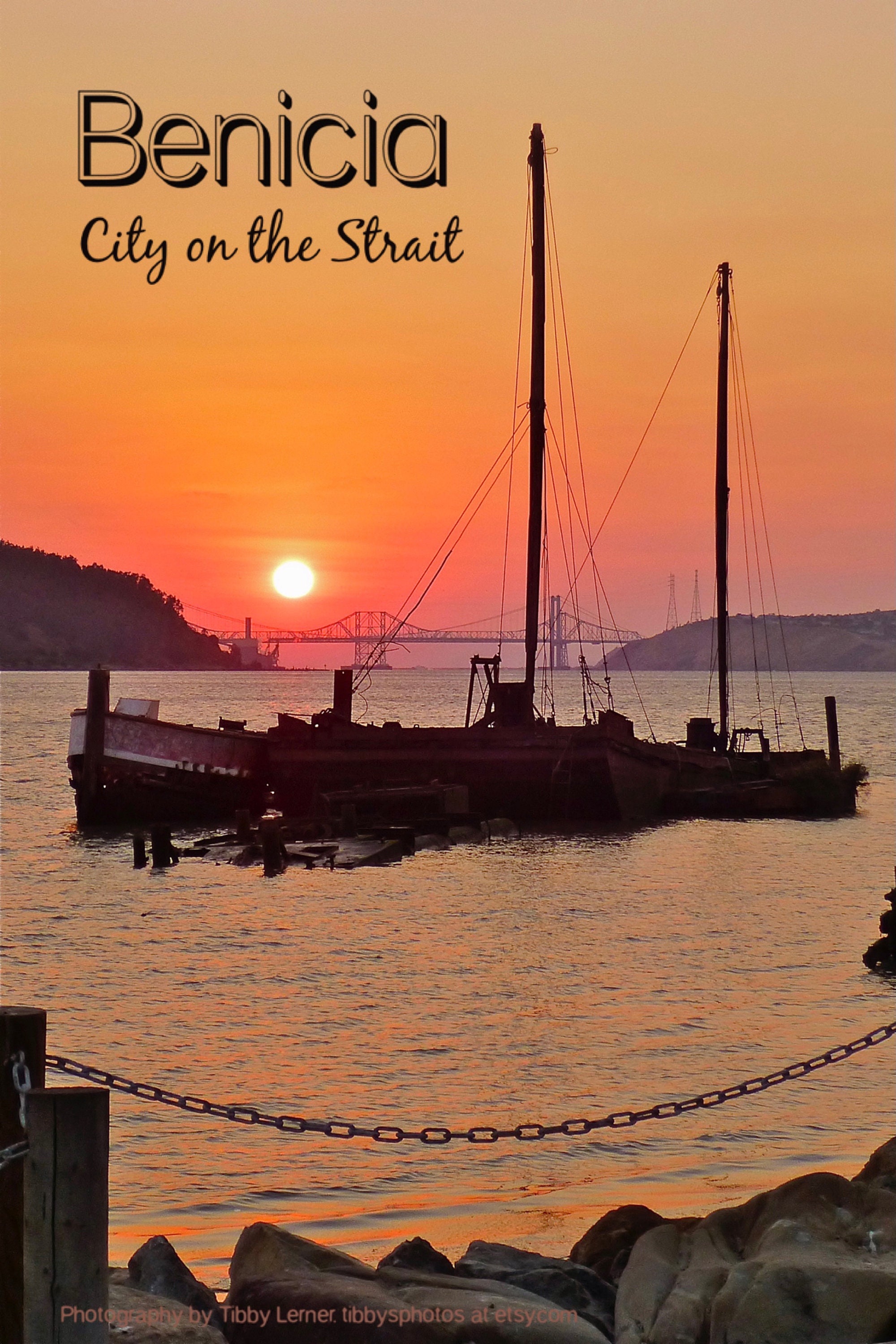 Benicia Ship Under Bridge