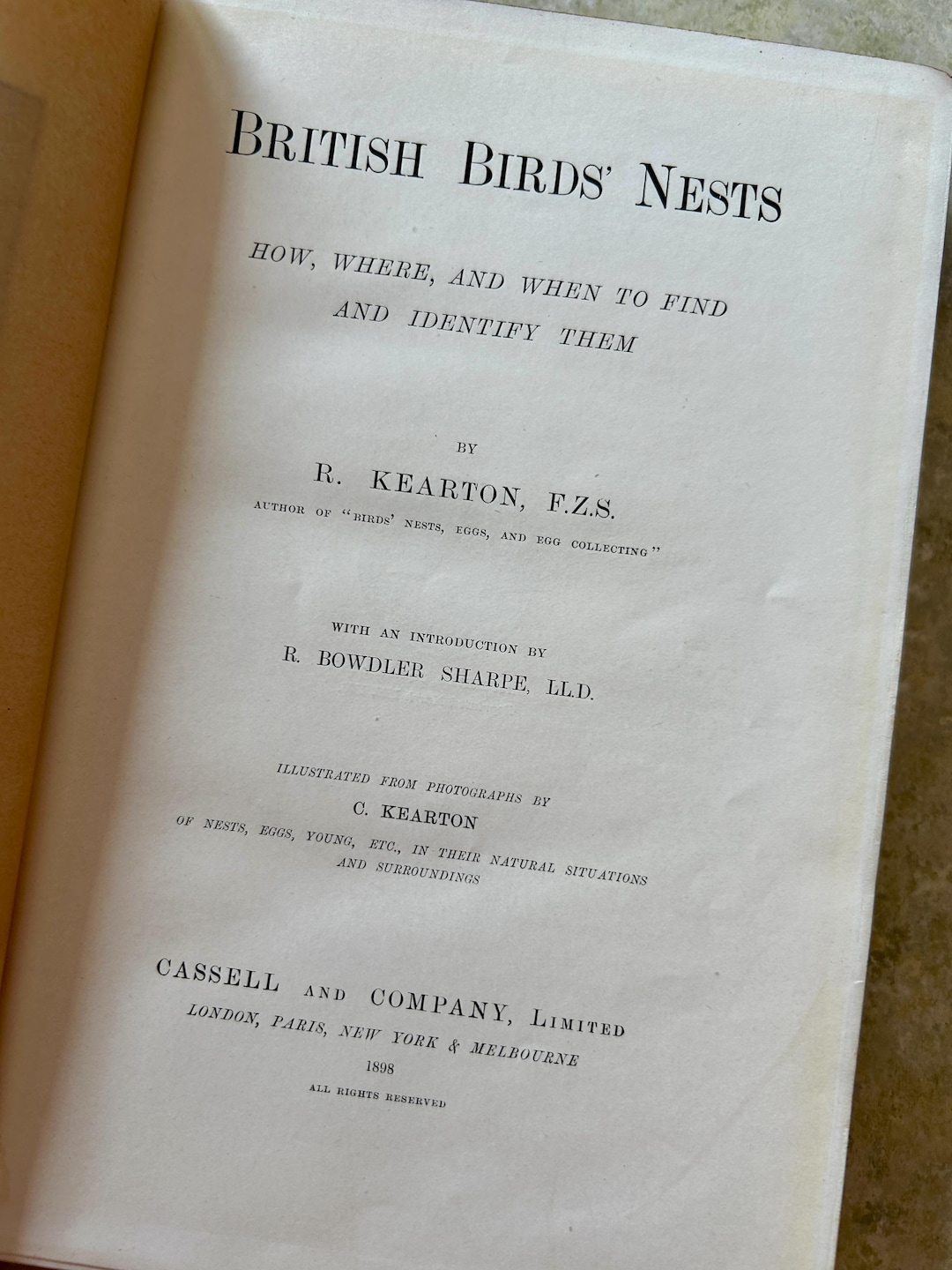 Vintage British Birds' Nests: How, Where, and When to Find and Identify ...