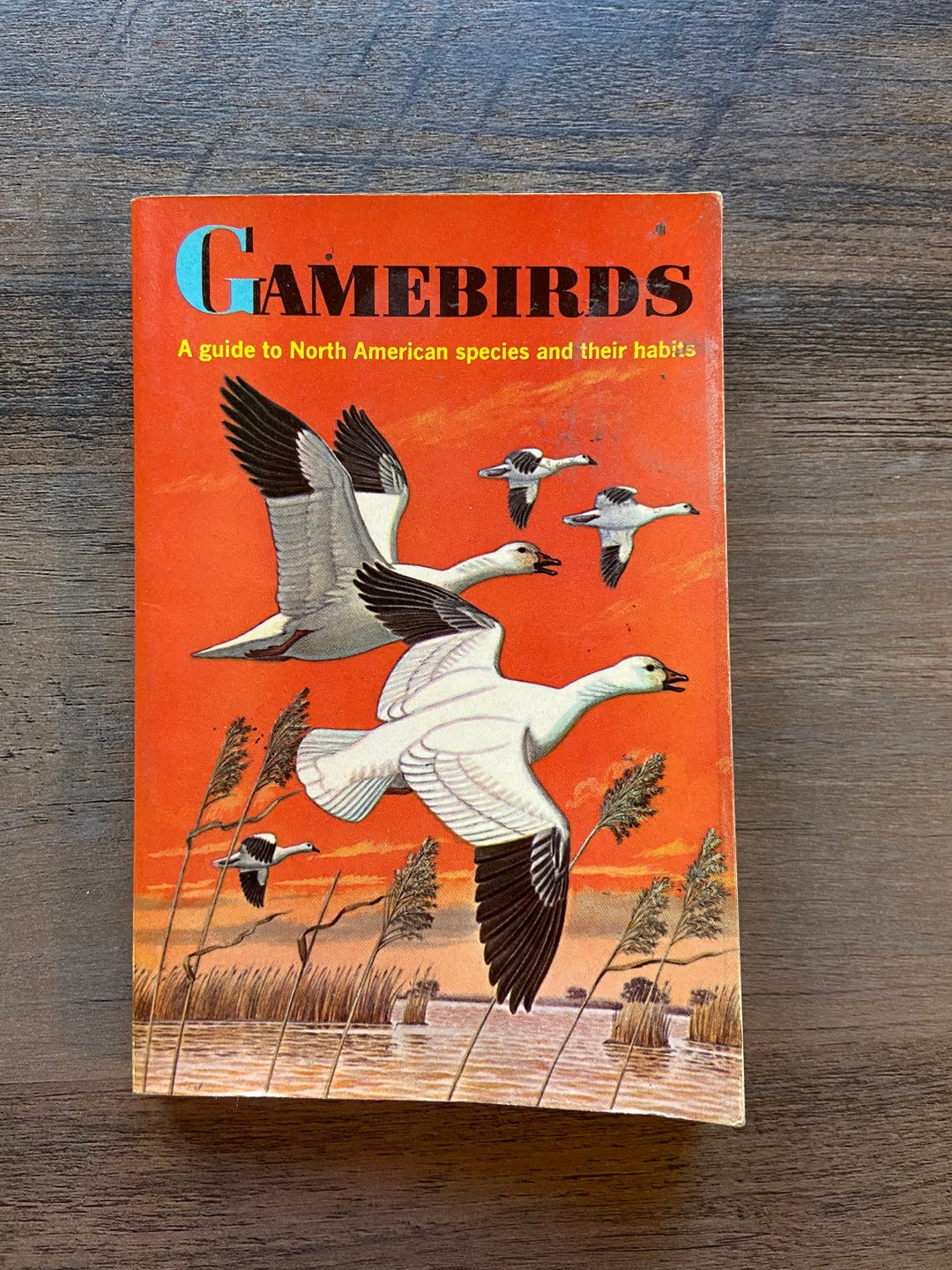 Vintage Gamebirds Golden Nature Guide Book With Fabulous Illustrations ...