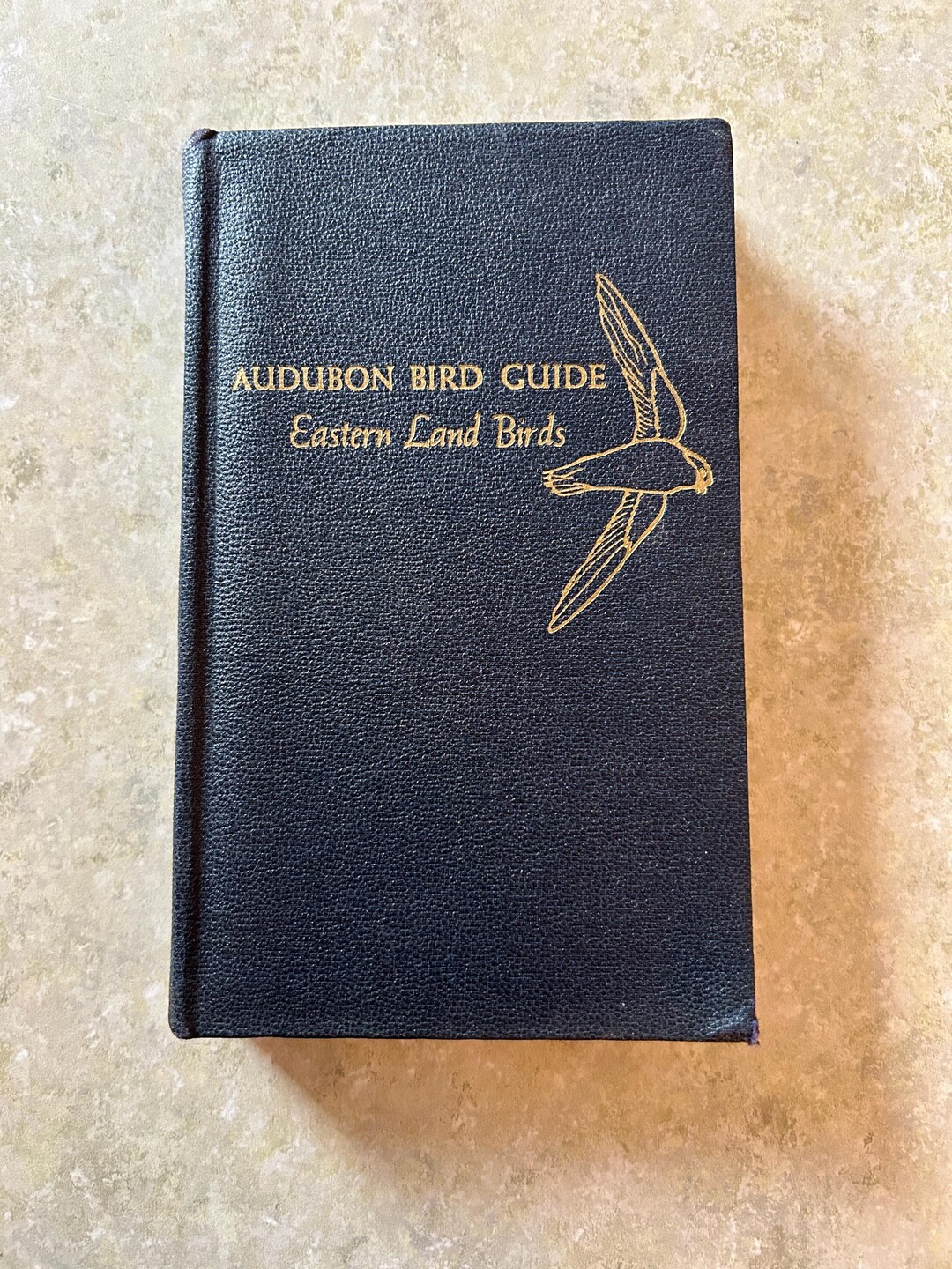 Wonderful Audubon Vintage Bird Guide, Land Birds of Eastern and Central ...