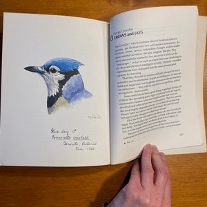 Vintage 1977 "wild Birds of the Americas" Book by Terence Michael ...