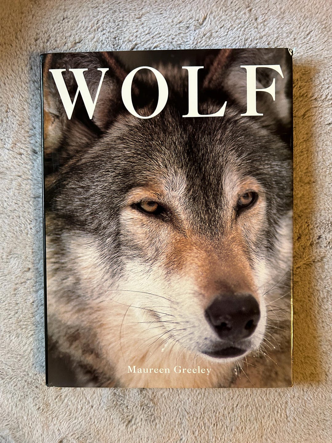 Wolf - Maureen Greeley - Animal Book - Animal Photography - Great for ...