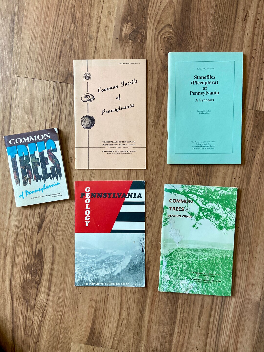 Collection of 5 Vintage PA Reference Books Pennsylvania Geology Common ...