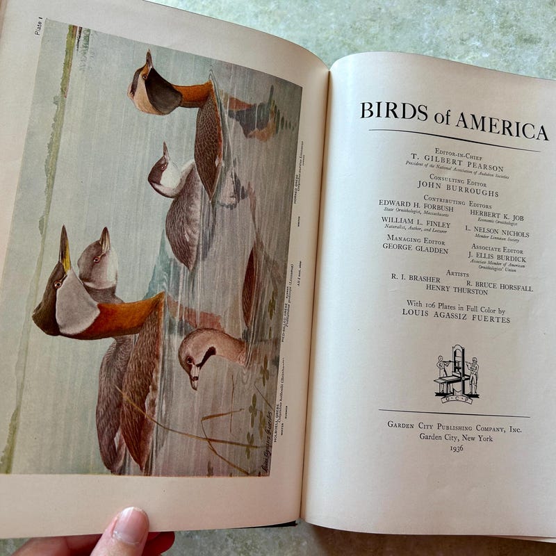 Vintage Bird Book - Etsy