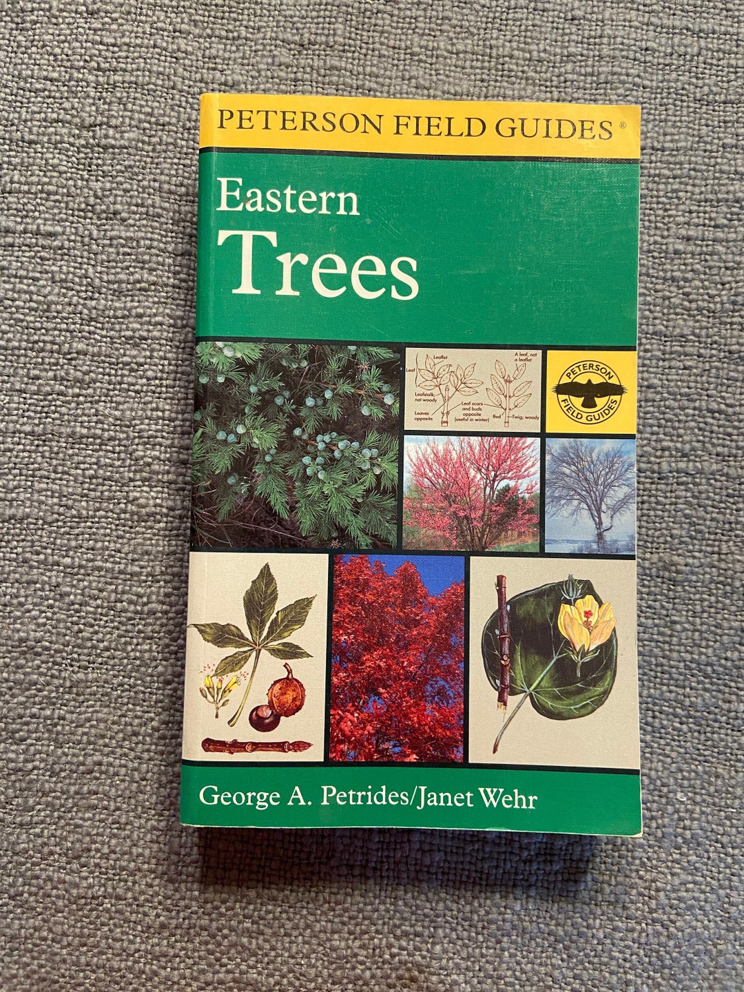 1998 Peterson Field Guide to Eastern Trees - George Petrides - Peterson ...
