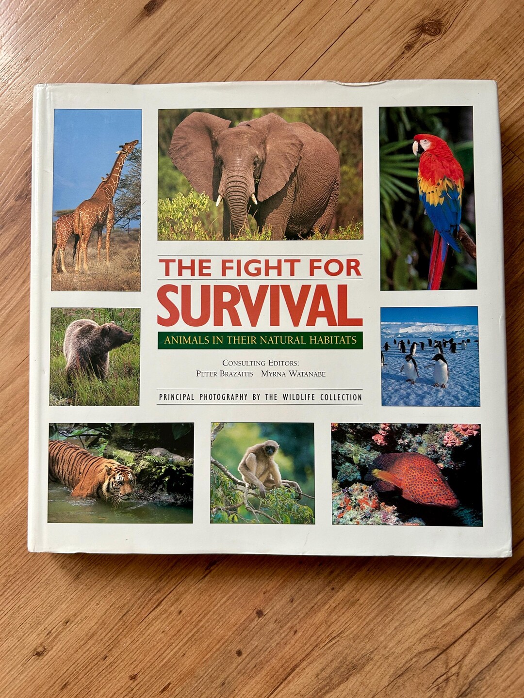 The Fight for Survival: Animals in Their Natural Habitats) - 1994 ...