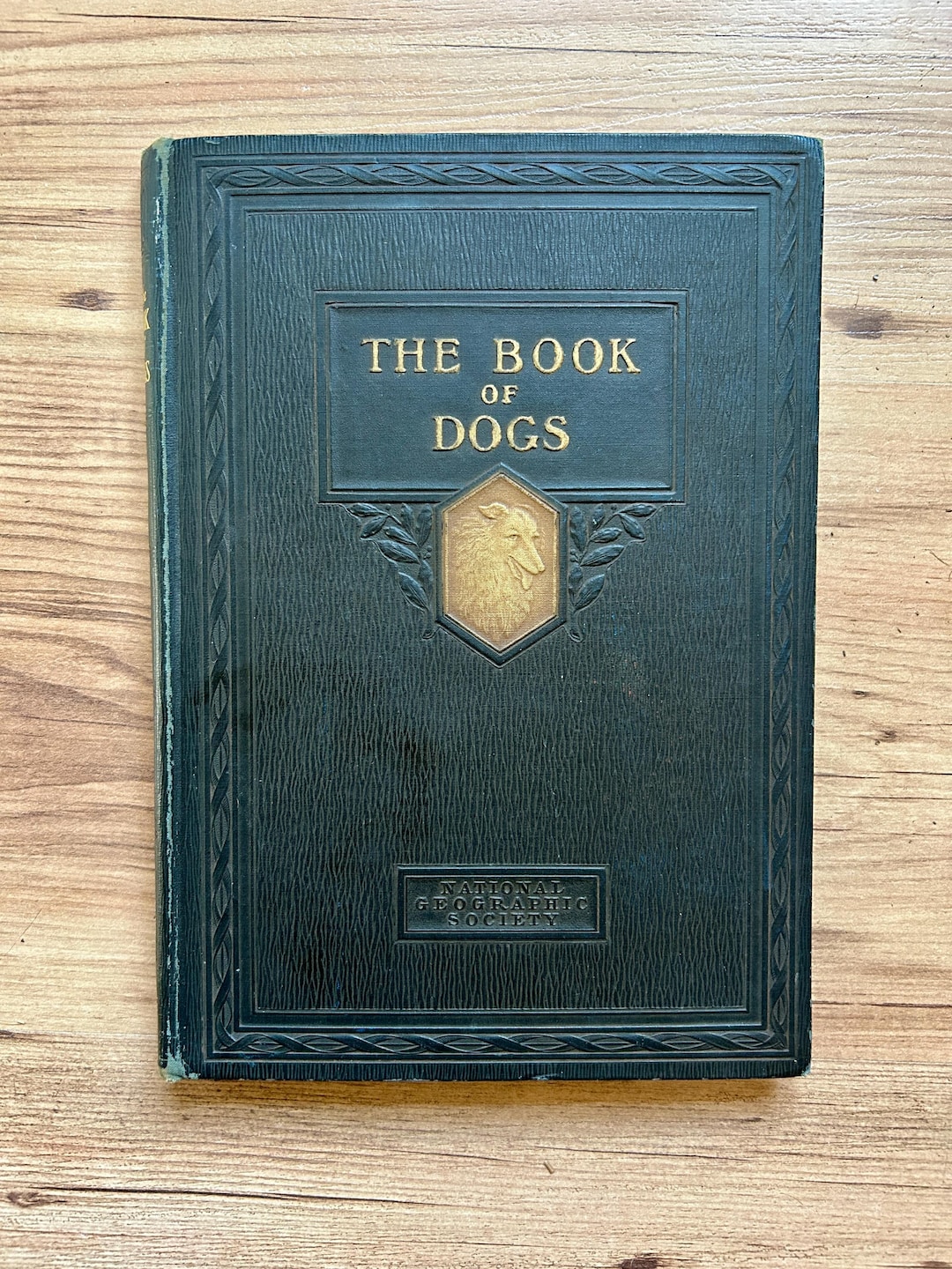 The Book of Dogs 1927 Dog Book Antique Dog Reference Book Dog Breeds ...