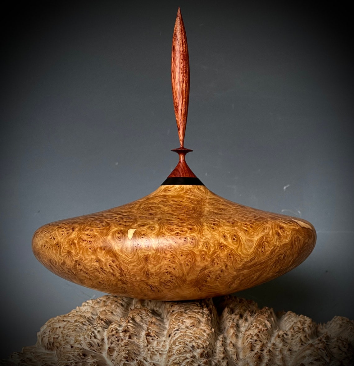 Corrugata Burl Wood Hollow Form Vessel Vase - Etsy