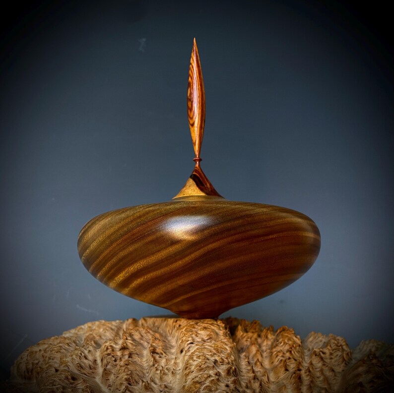 Chakte Viga Wood Hollow Form Vessel Vase - Etsy