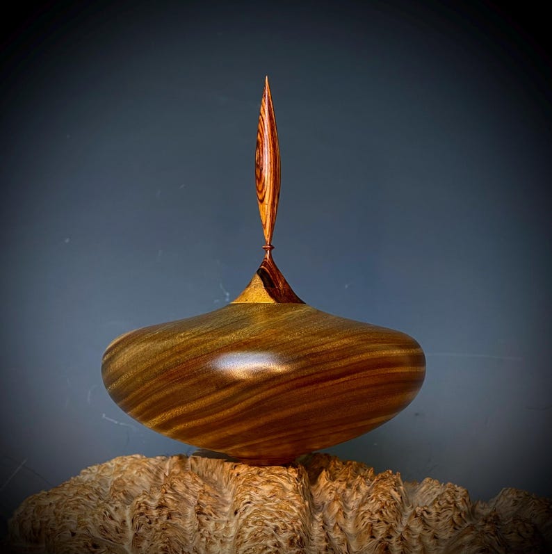 Chakte Viga Wood Hollow Form Vessel Vase - Etsy