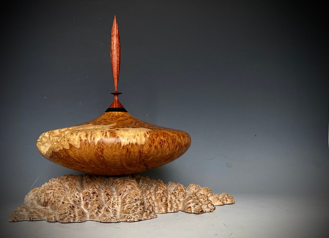Corrugata Burl Wood Hollow Form Vessel Vase - Etsy