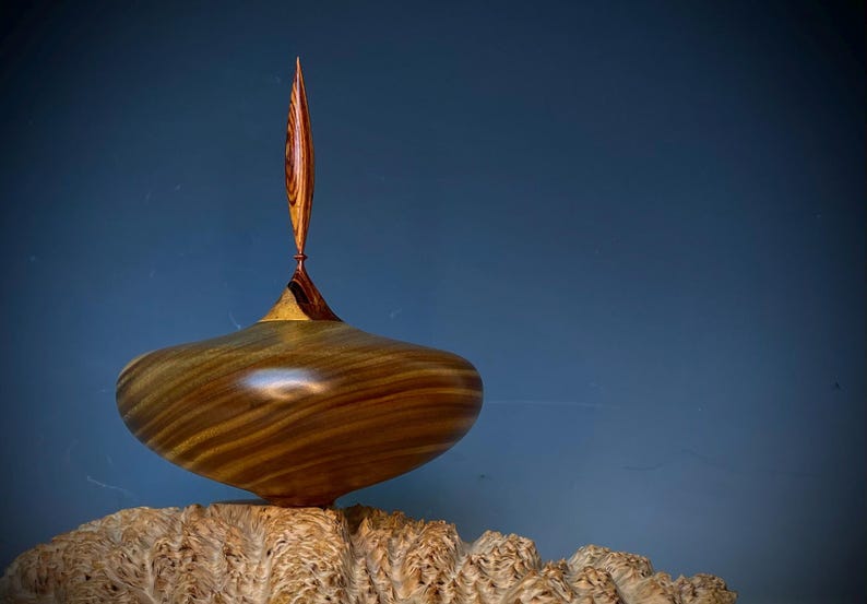 Chakte Viga Wood Hollow Form Vessel Vase - Etsy
