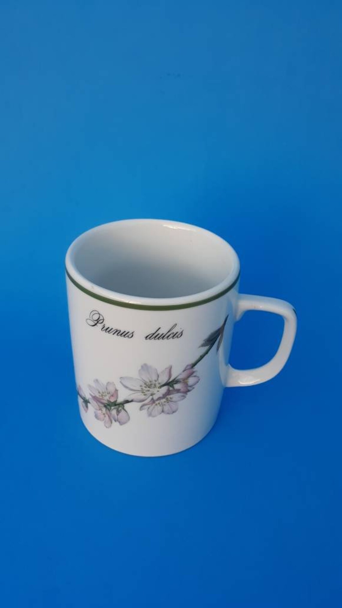 Apilco France Elysian Gardens Mug 12 Oz Prunus Dulcis Pink Flowers ...