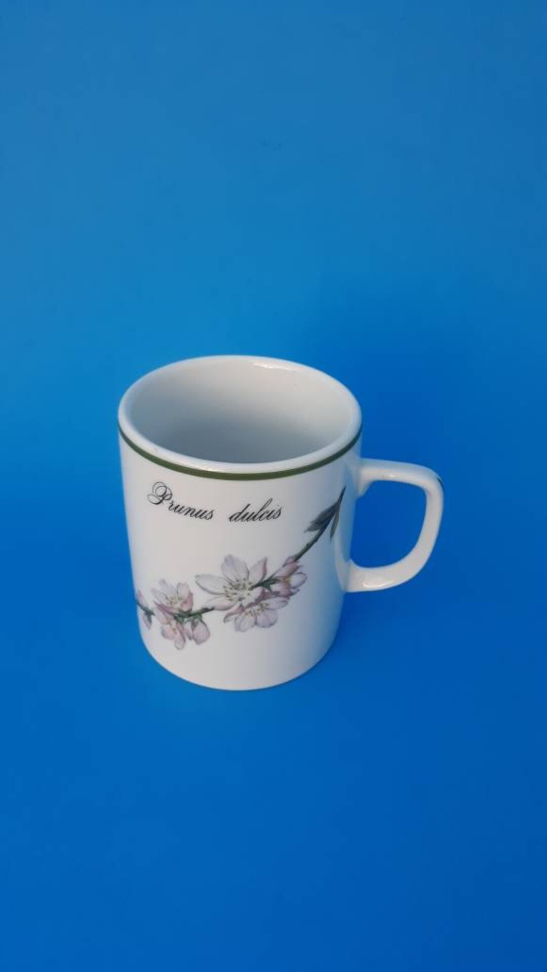Apilco France Elysian Gardens Mug 12 Oz Prunus Dulcis Pink Flowers ...