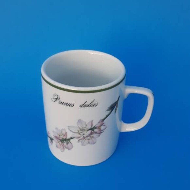 Apilco - Etsy