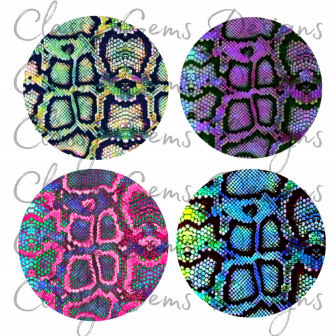 Neon Snake Print Circle Backgrounds Set of 4-perfect for Car - Etsy