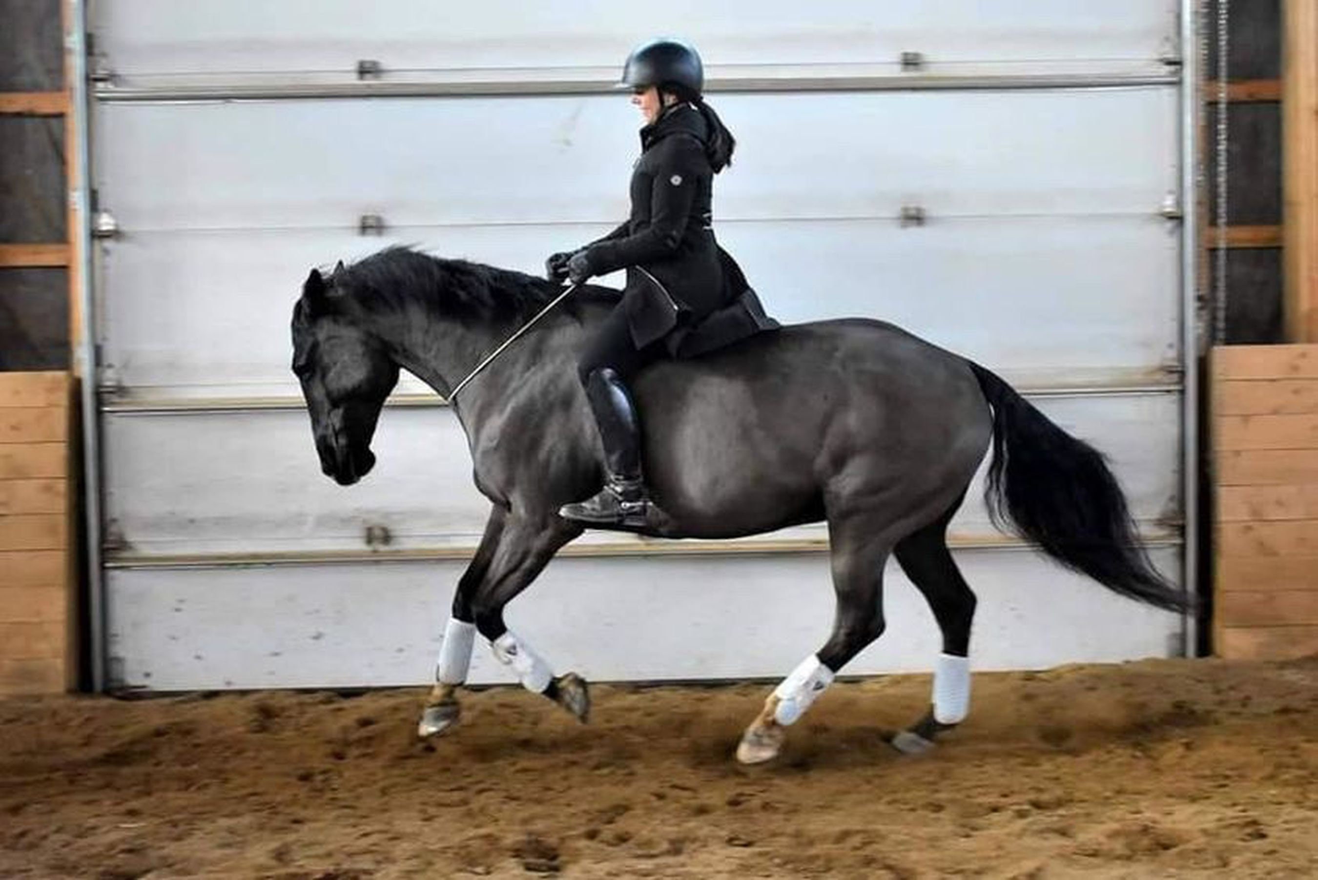 Neck Rope Liberty Line Liberty Rope Bridless Riding - Etsy Canada