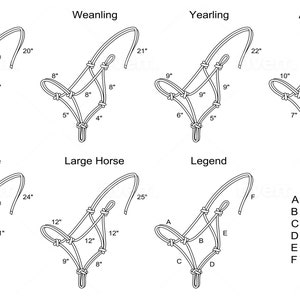 4-knot Rope Halter, Groundwork Halter, Rope Halter, Natural Horsemanship Halter, Horse Halter ...