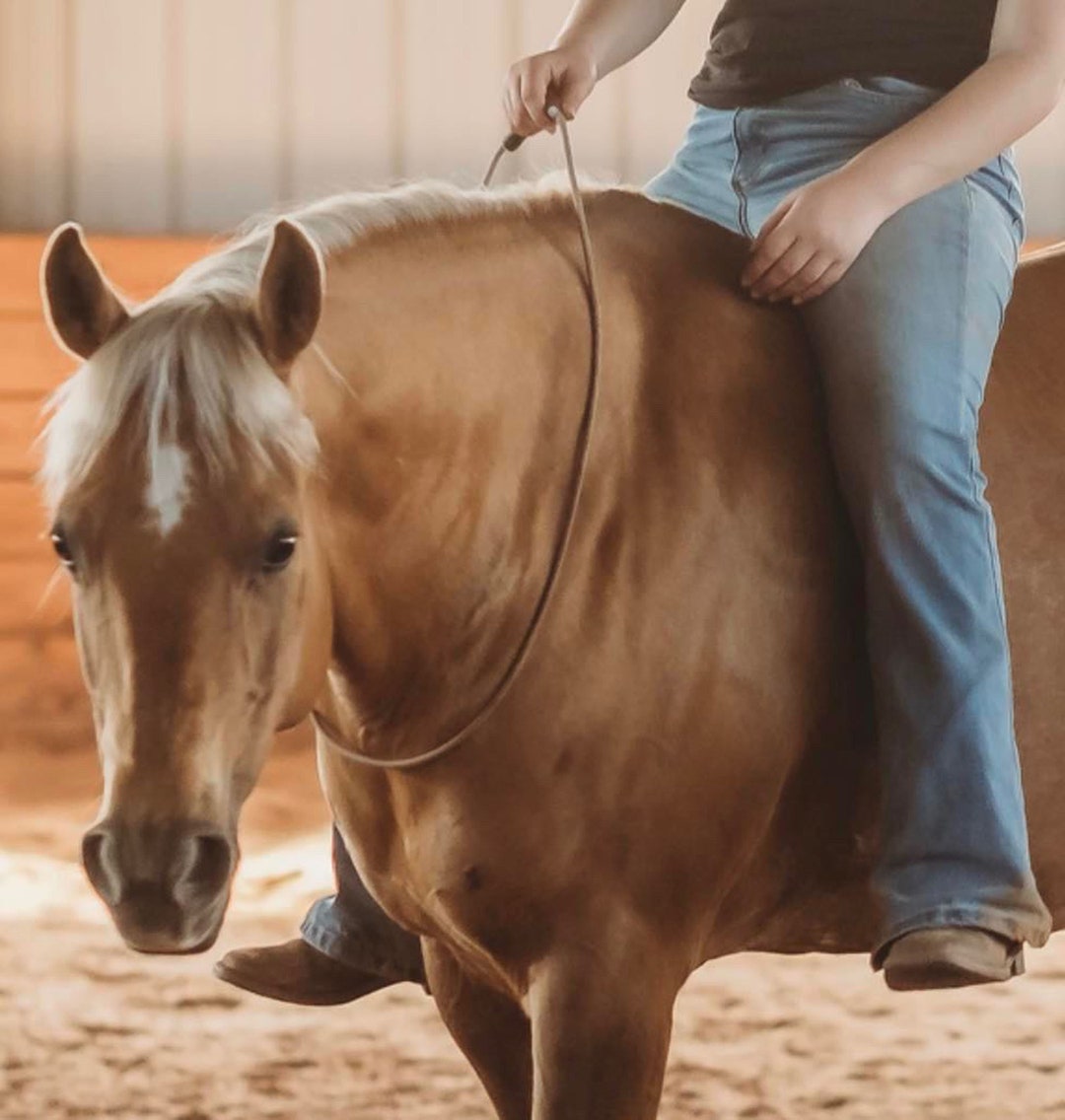 Neck Rope, Liberty Line, Liberty Rope, Bridless Riding - Etsy