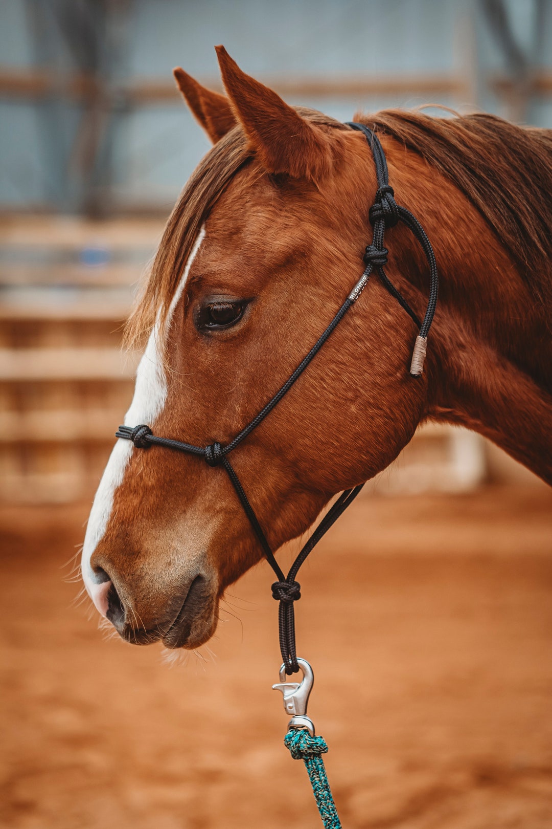 4-knot Rope Halter, Groundwork Halter, Rope Halter, Natural Horsemanship Halter, Horse Halter ...
