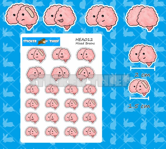 Brain Anatomical Planner Stickers Kiss Cut Hand Drawn | Etsy
