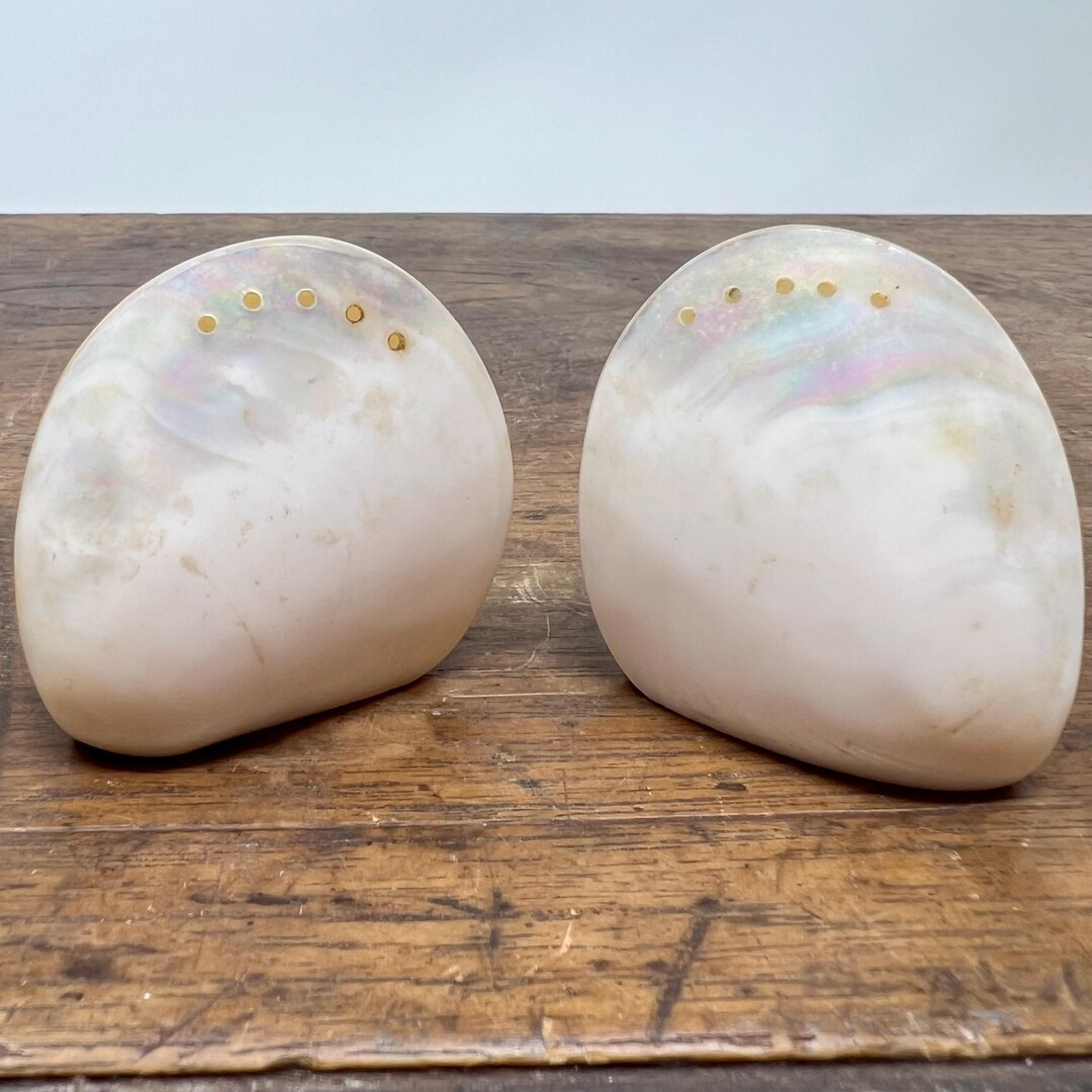 Rare Mother of Pearl Shell Salt and Pepper Shakers - Etsy