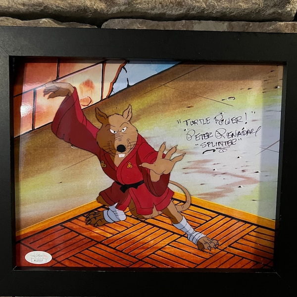 Master Splinter - Etsy