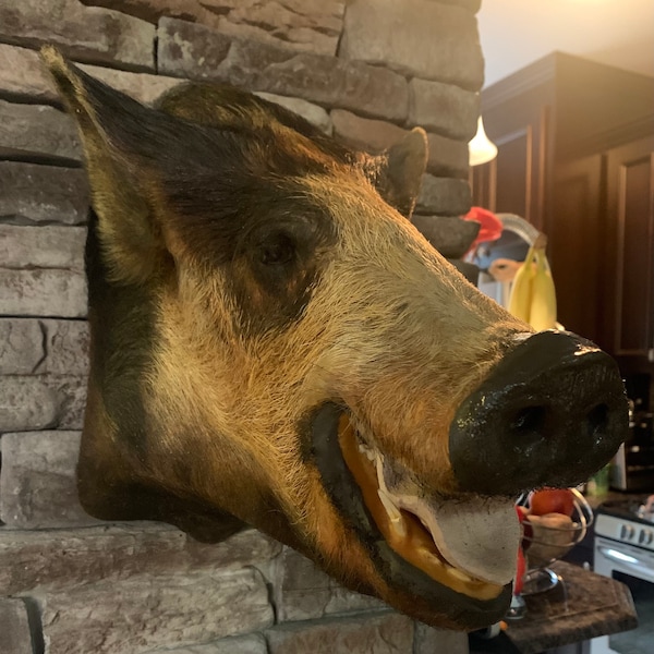 Wild Boars Head - Etsy