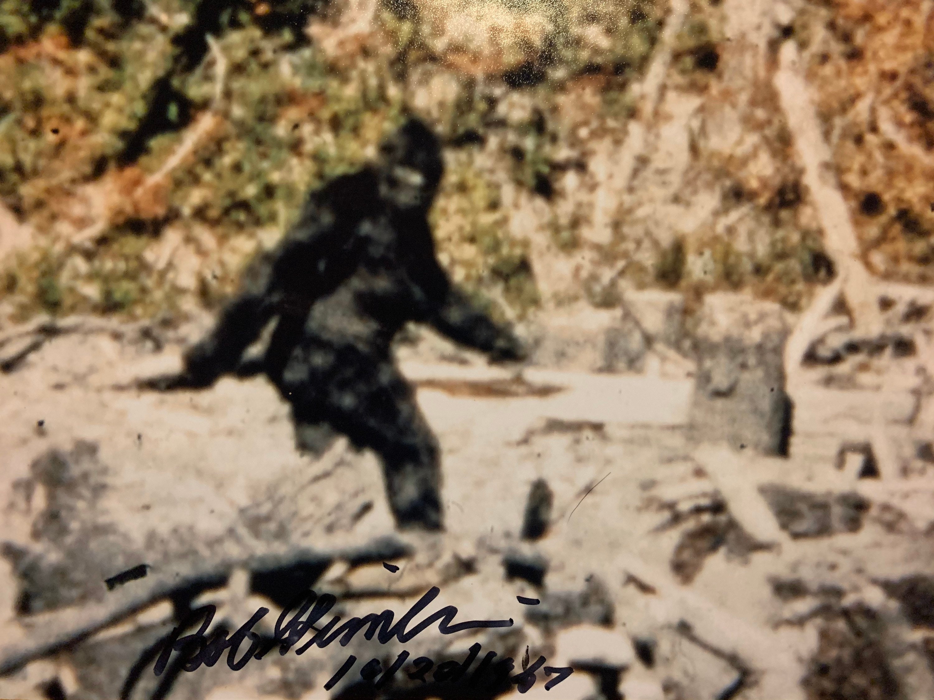 Autographed Robert Bob Gimlin Bigfoot 8x10inch framed photo. | Etsy