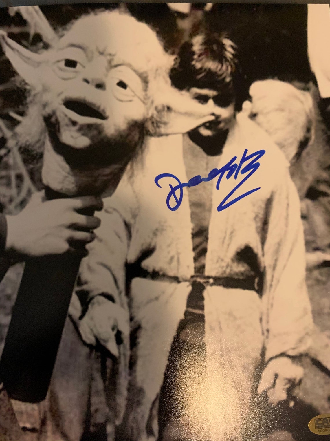 Autographed Deep Roy Yoda Star Wars framed 8x10inch photo with | Etsy