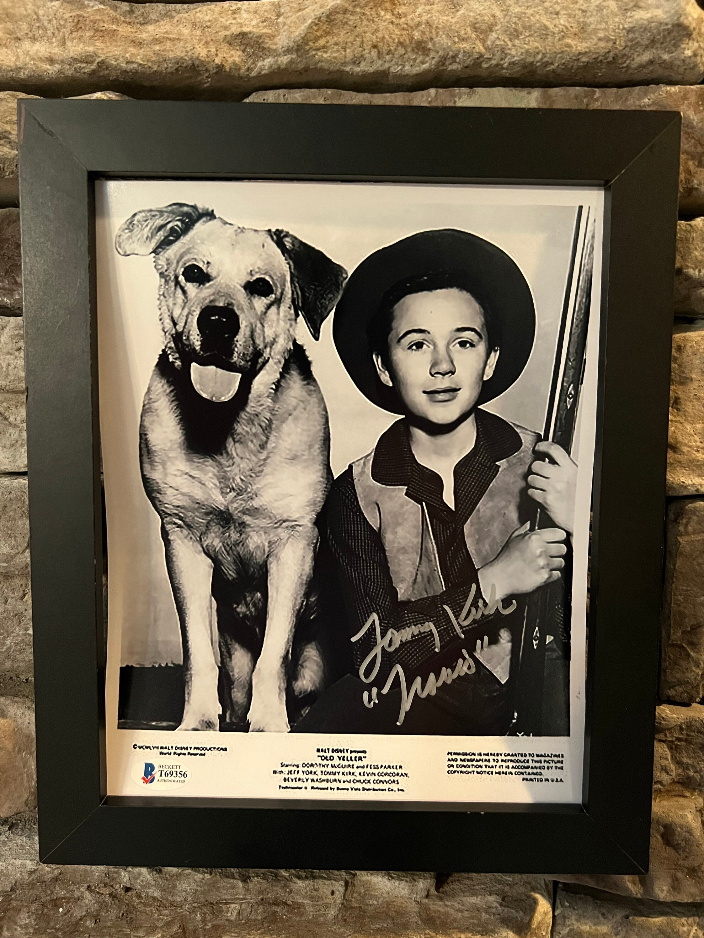 Old Yeller Movie