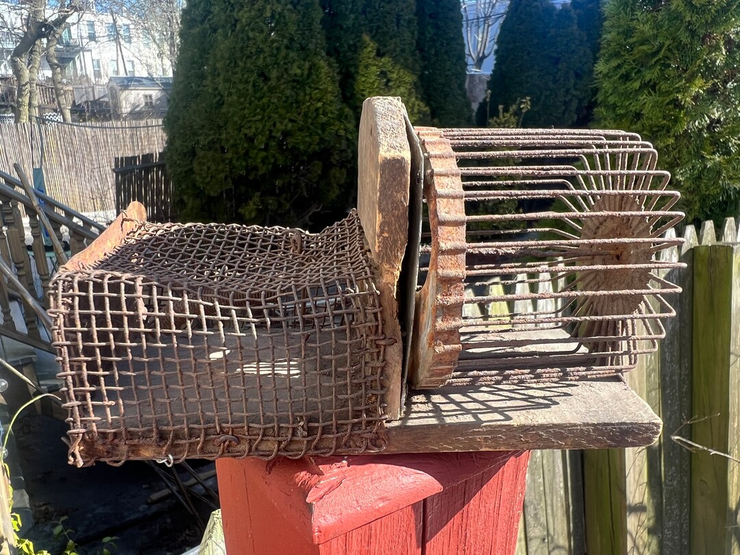Antique 1800s Victorian Era Primitive Wood and Wire Mouse Trap - Etsy