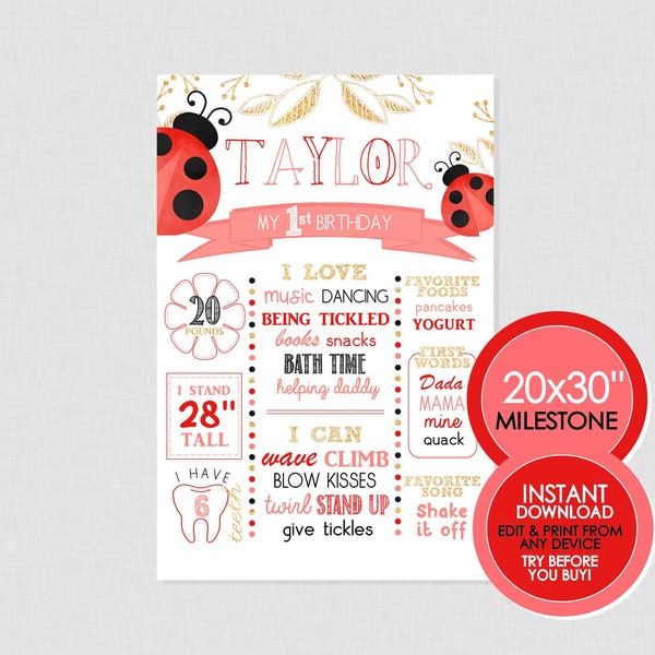 Ladybug Birthday - Etsy