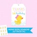 Girl Rubber Duck Birthday Favor Tag - INSTANT DOWNLOAD - Duckie ...
