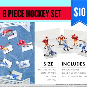 Edible Hockey Rink Personalized Birthday Cake Topper Sugar Sheet ...