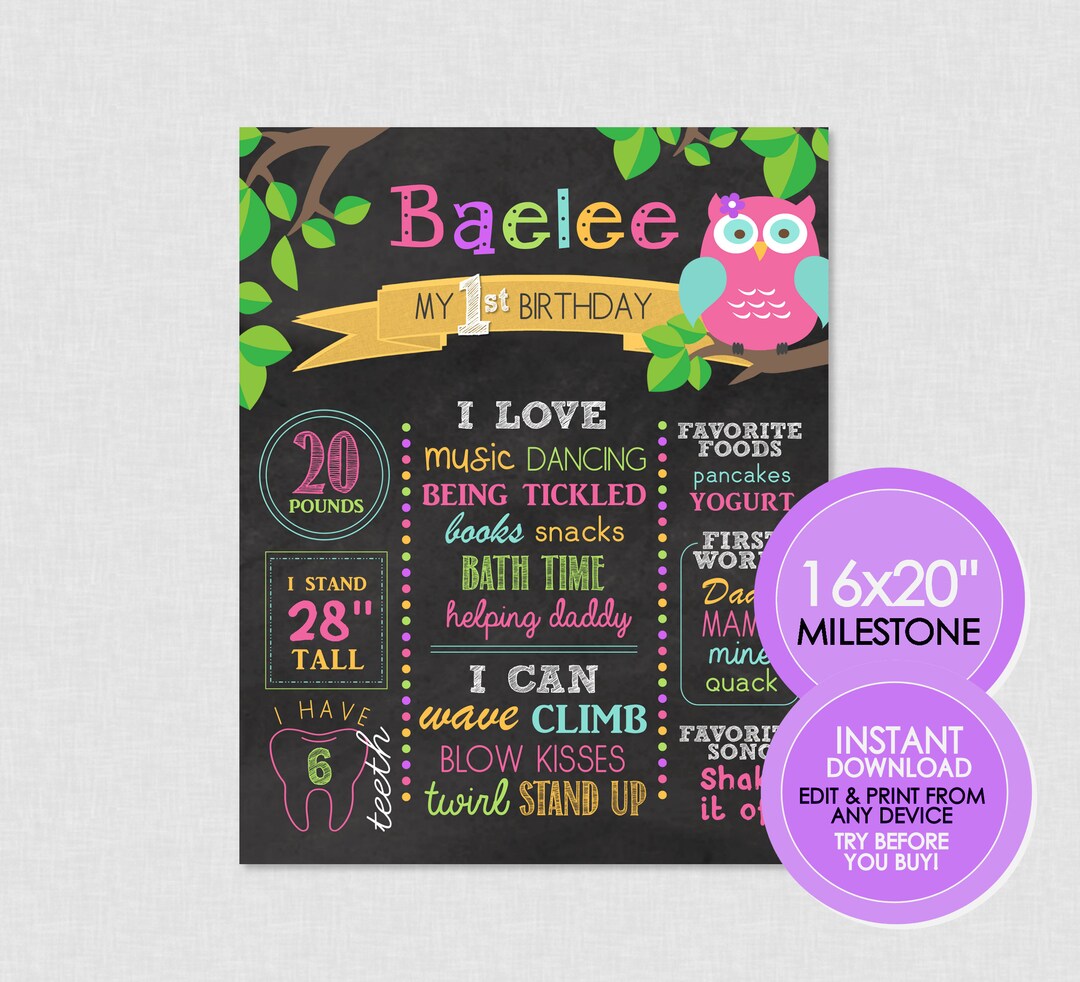 Owl Birthday Milestone Poster EDITABLE INSTANT DOWNLOAD Owl Birthday ...