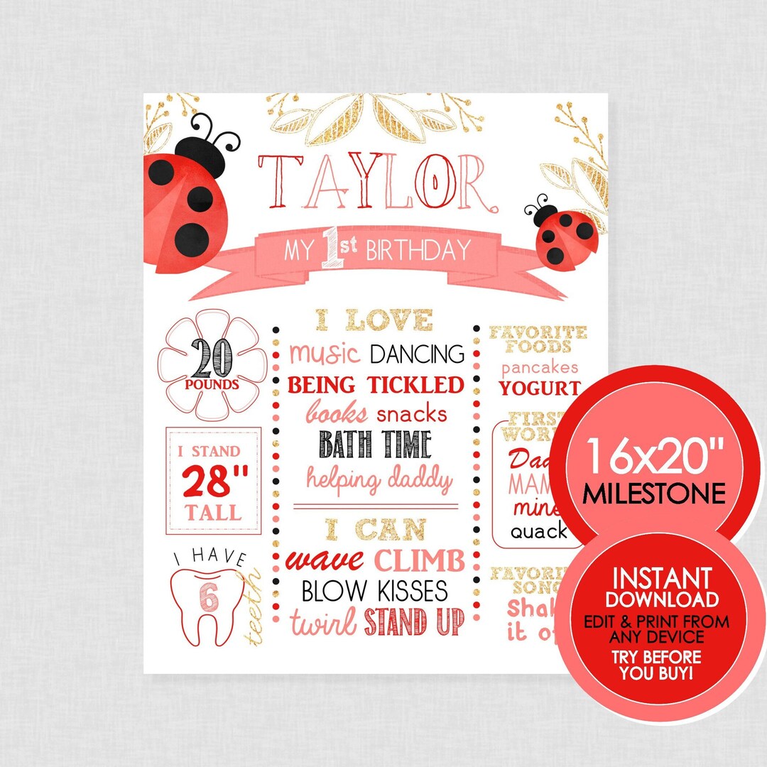 Ladybug Birthday Milestone Poster - EDITABLE INSTANT DOWNLOAD - Lady ...
