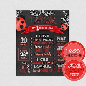 Ladybug Birthday Milestone Chalkboard EDITABLE INSTANT | Etsy