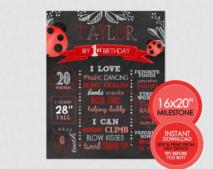 Ladybug Happy Birthday Banner Birthday Decoration - Etsy