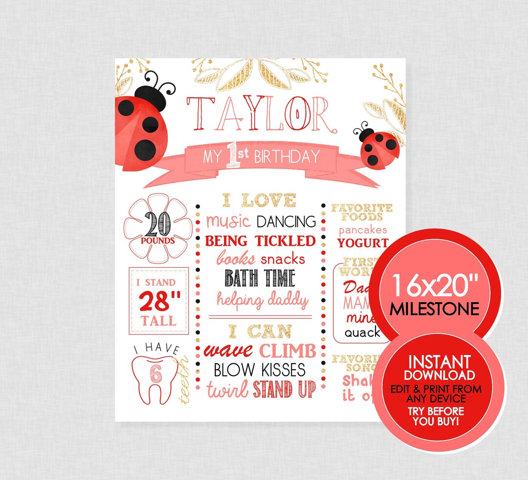 Ladybug Birthday Milestone Poster EDITABLE INSTANT DOWNLOAD Lady Bug ...