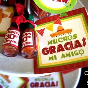 Fiesta Birthday Mini Party Pack, Fiesta Birthday, Fiesta Party ...