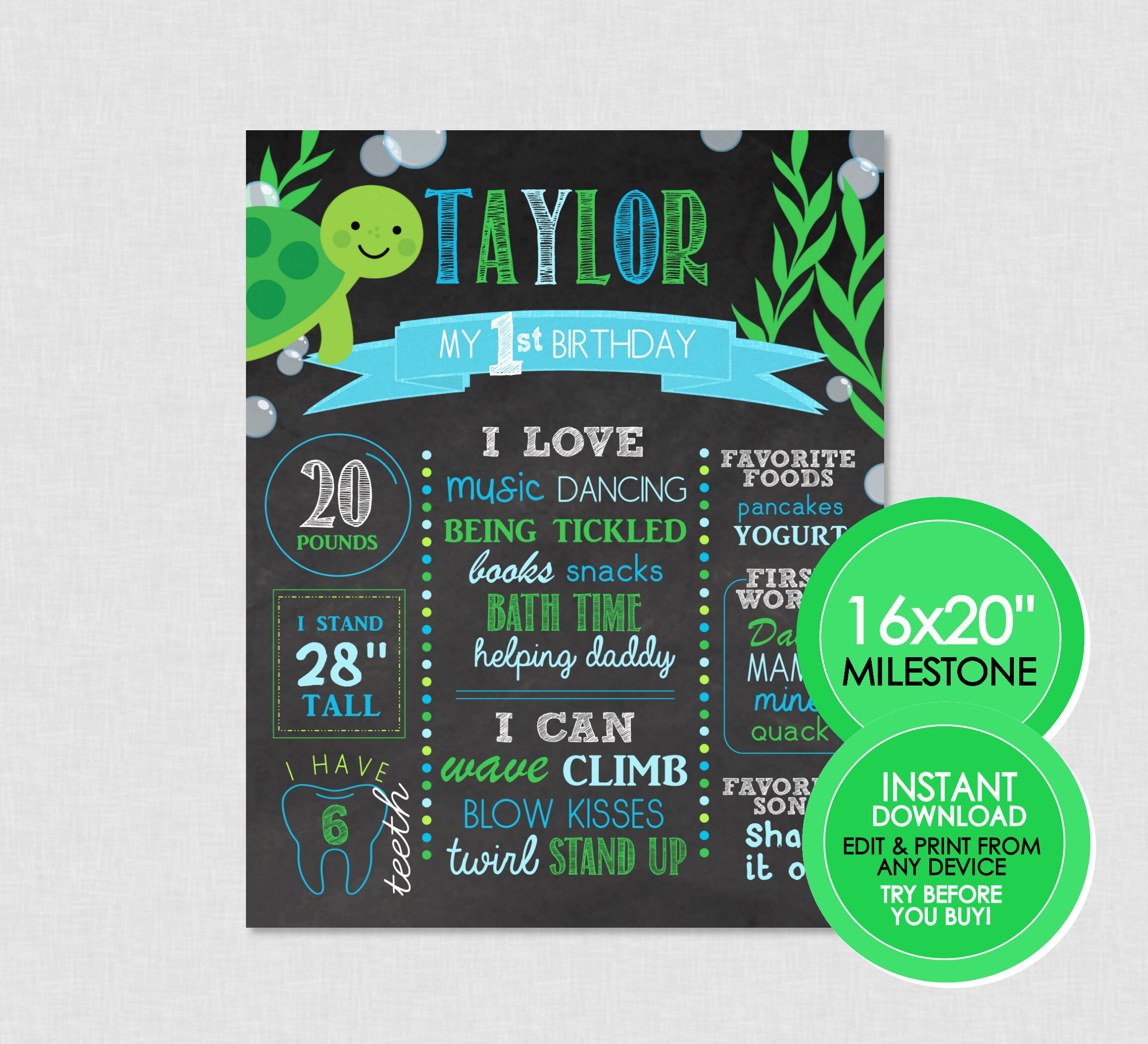 Turtle Birthday Milestone Chalkboard - EDITABLE INSTANT DOWNLOAD ...