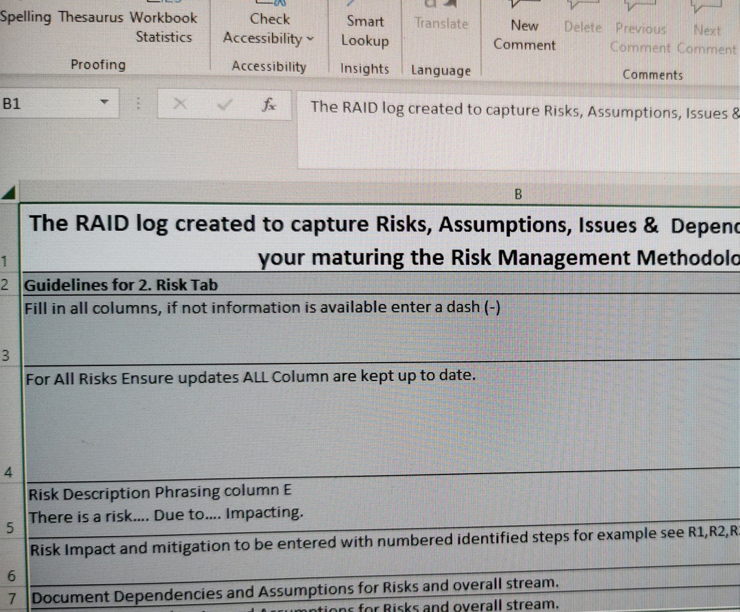 Project Management | Risk Management | RAID Log Template Xlsx - Etsy